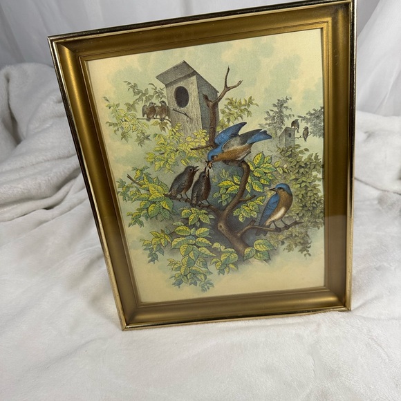 Art | Vintage Bluebird Print Shadow Box Gold Frame Mid Century Nature ...